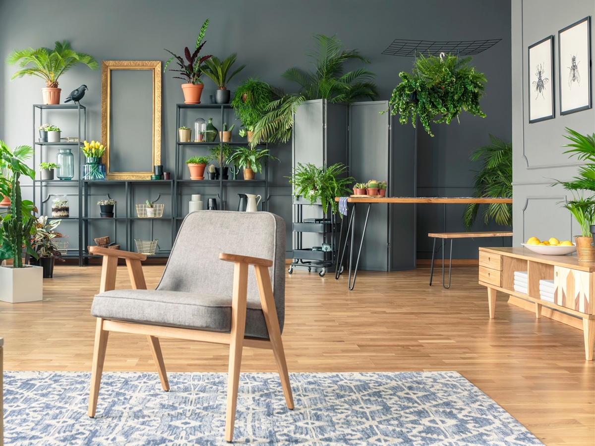 The Most Beautiful Interior Styles at a Glance! | Norman Canada