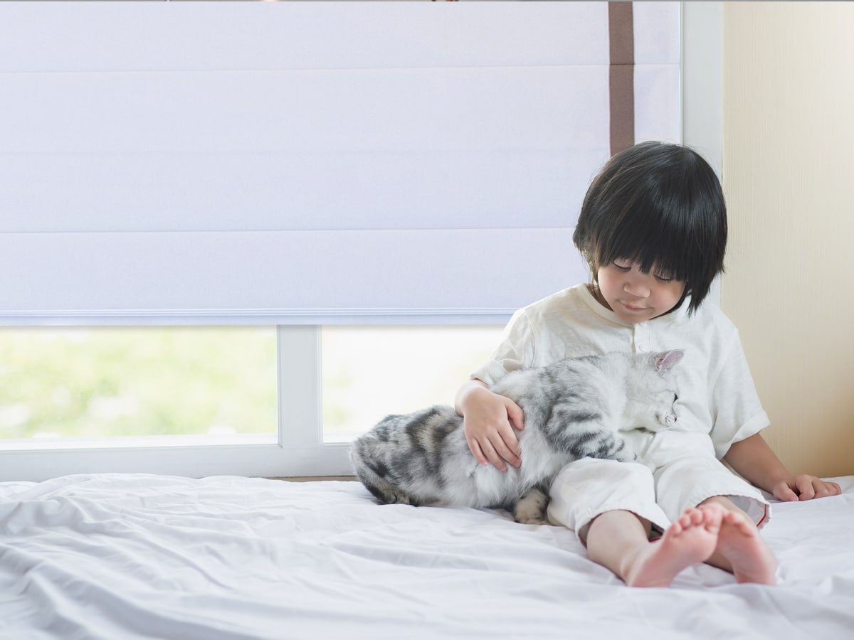 Kid Friendly Window Treatment | Norman USA